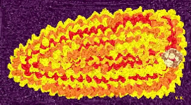 Kiwano art – umění kiwana - Z tvůrčího života - Blog - Pravda